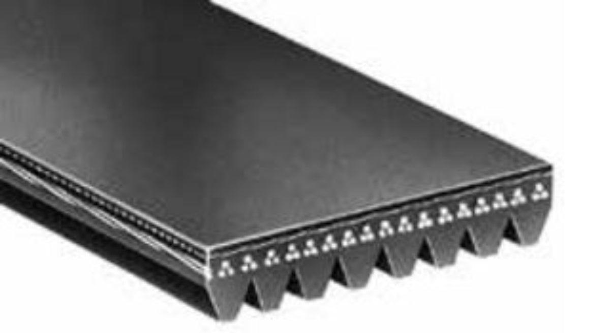 Banda Poly V Continental 4050688-B | Muca Refacciones